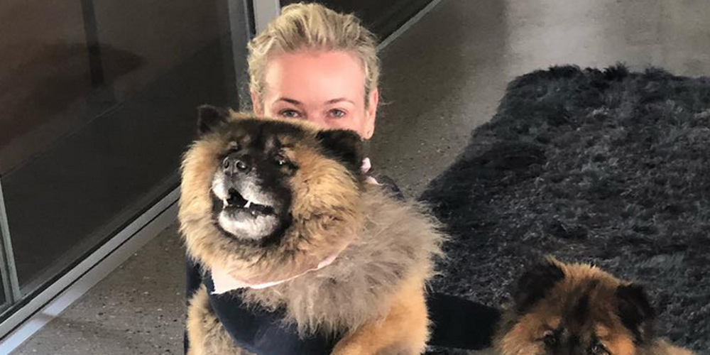 Chelsea Handler Rescues Two Dogs After the Death of Her Beloved Pet ...