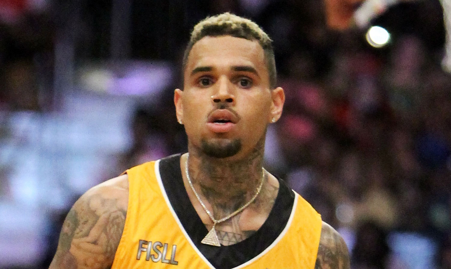 Chris Brown Arrested for Outstanding Warrant in Florida | Chris Brown ...