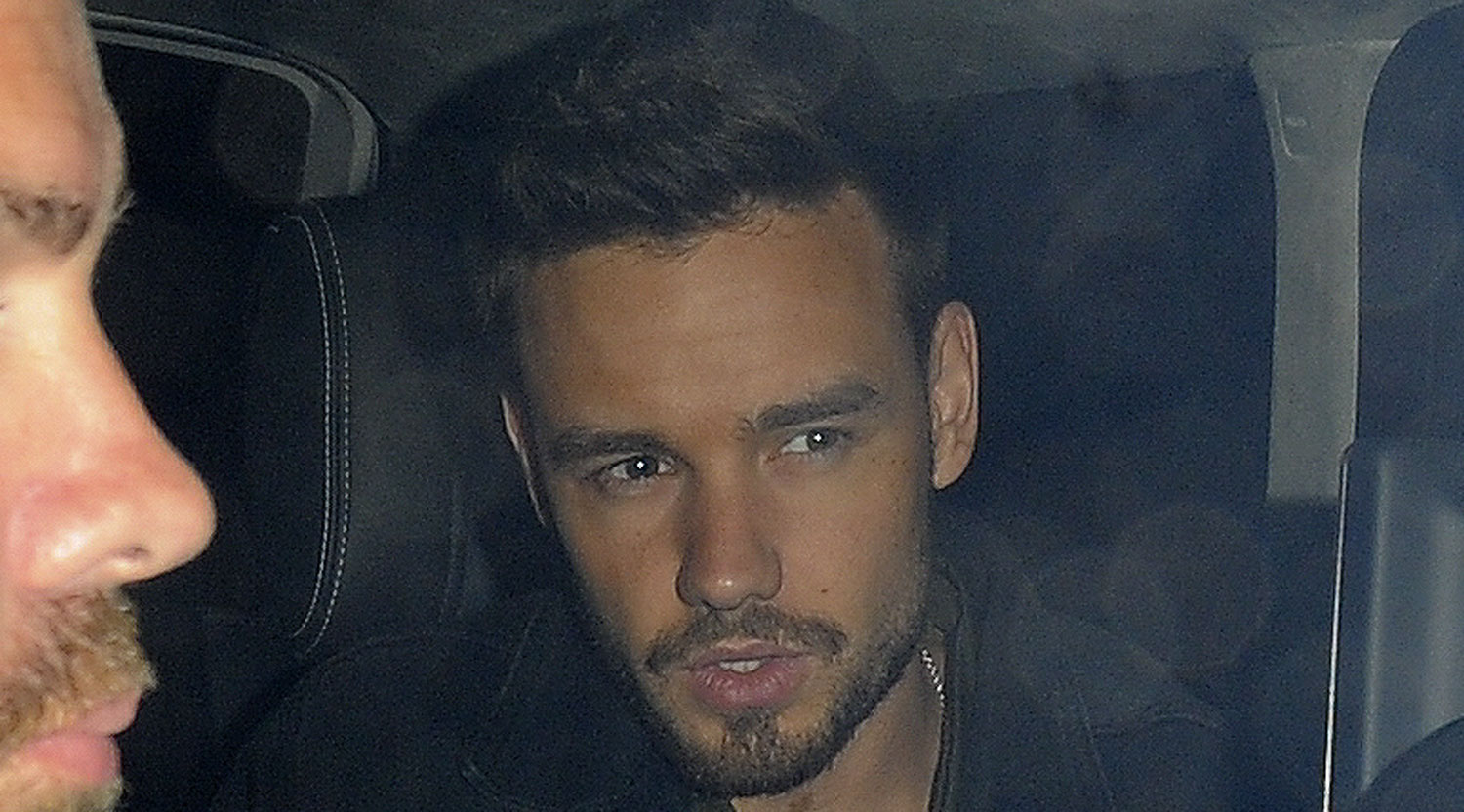 Liam Payne Parties With Drake at ‘Scorpion’ Album Launch Party | Liam ...