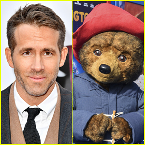 Ryan Reynolds Started a Feud with Paddington the Bear on Twitter | Ryan ...