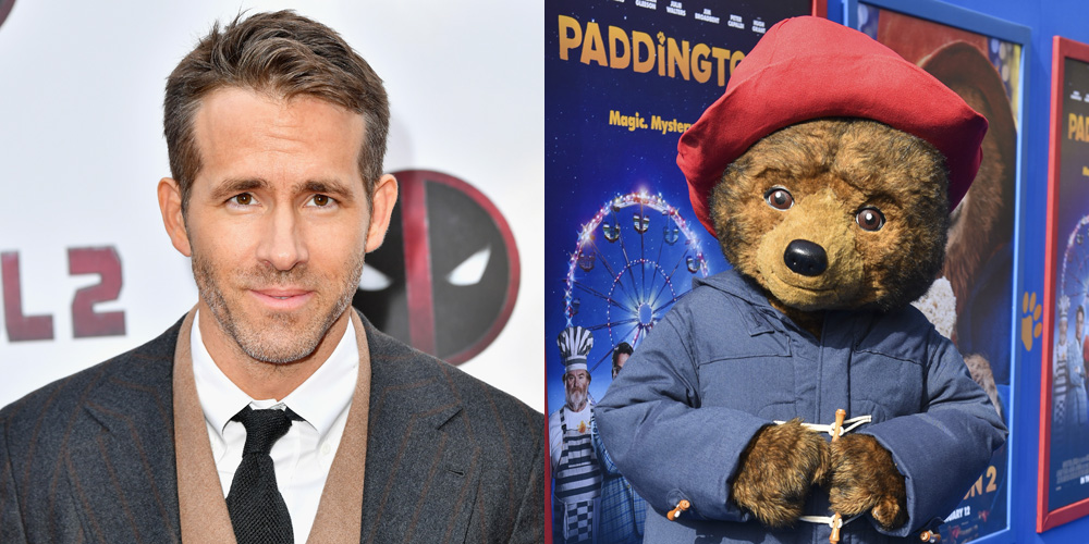 Ryan Reynolds Started a Feud with Paddington the Bear on Twitter | Ryan ...