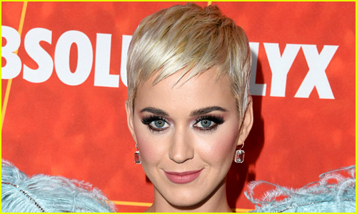 The 25 Most Popular Music Stars on Just Jared in 2018 | 2018 Year End ...