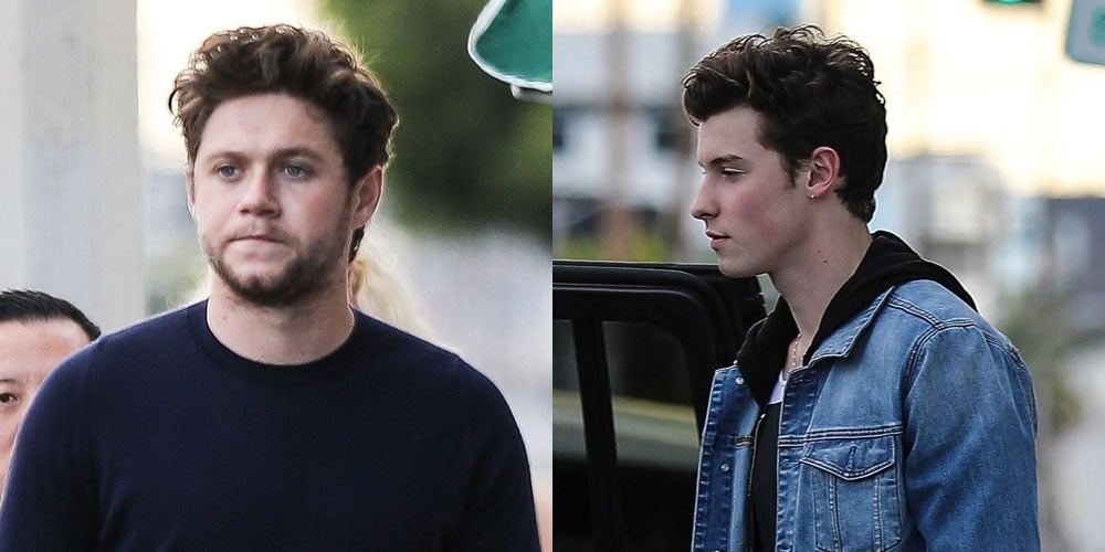 Niall Horan & Shawn Mendes Have a Guy’s Night Out | Niall Horan, Shawn ...
