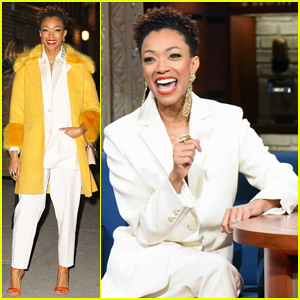 Sonequa Martin-Green Defends ‘Star Trek: Discovery’s Bearded Spock ...