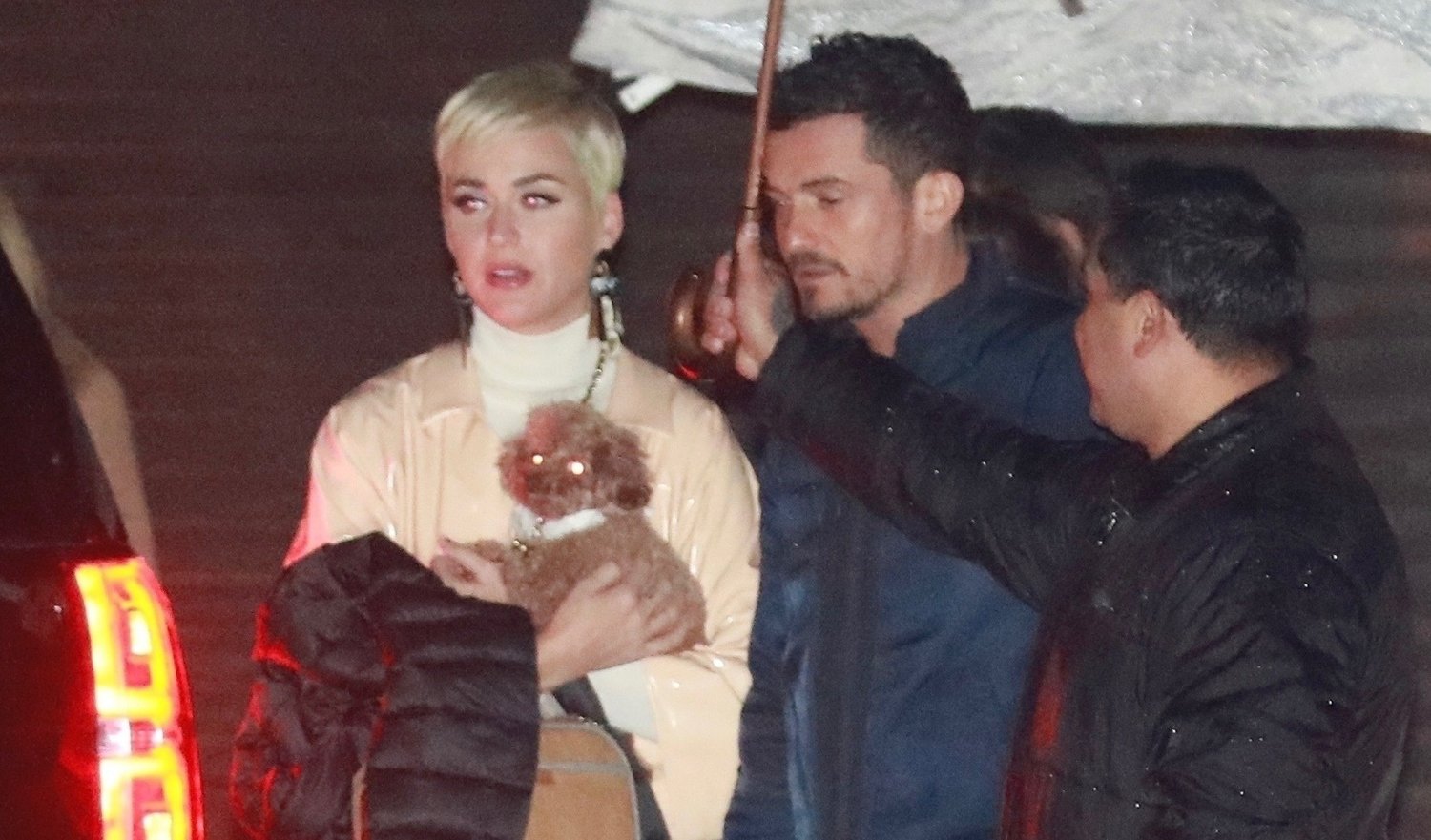 Katy Perry & Orlando Bloom’s Dogs Join Them for Date Night! | Celebrity ...