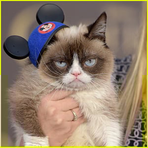 Grumpy Cat Dead – Beloved Internet Famous Cat Dies at 7 | Celebrity ...