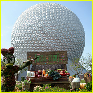 Part of Disney’s Epcot Under Rabies Alert After Infected Cat Scratches ...