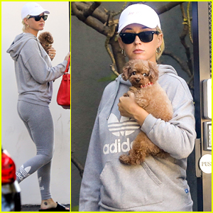 Katy Perry’s Dog Nugget is the Best Accessory! | Celebrity Pets, Katy ...