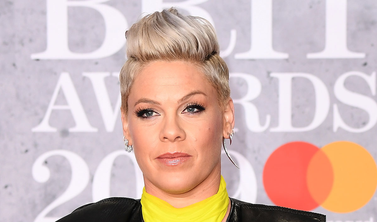 Pink’s Manager & Tour Team Members Involved in Plane Crash, No One ...