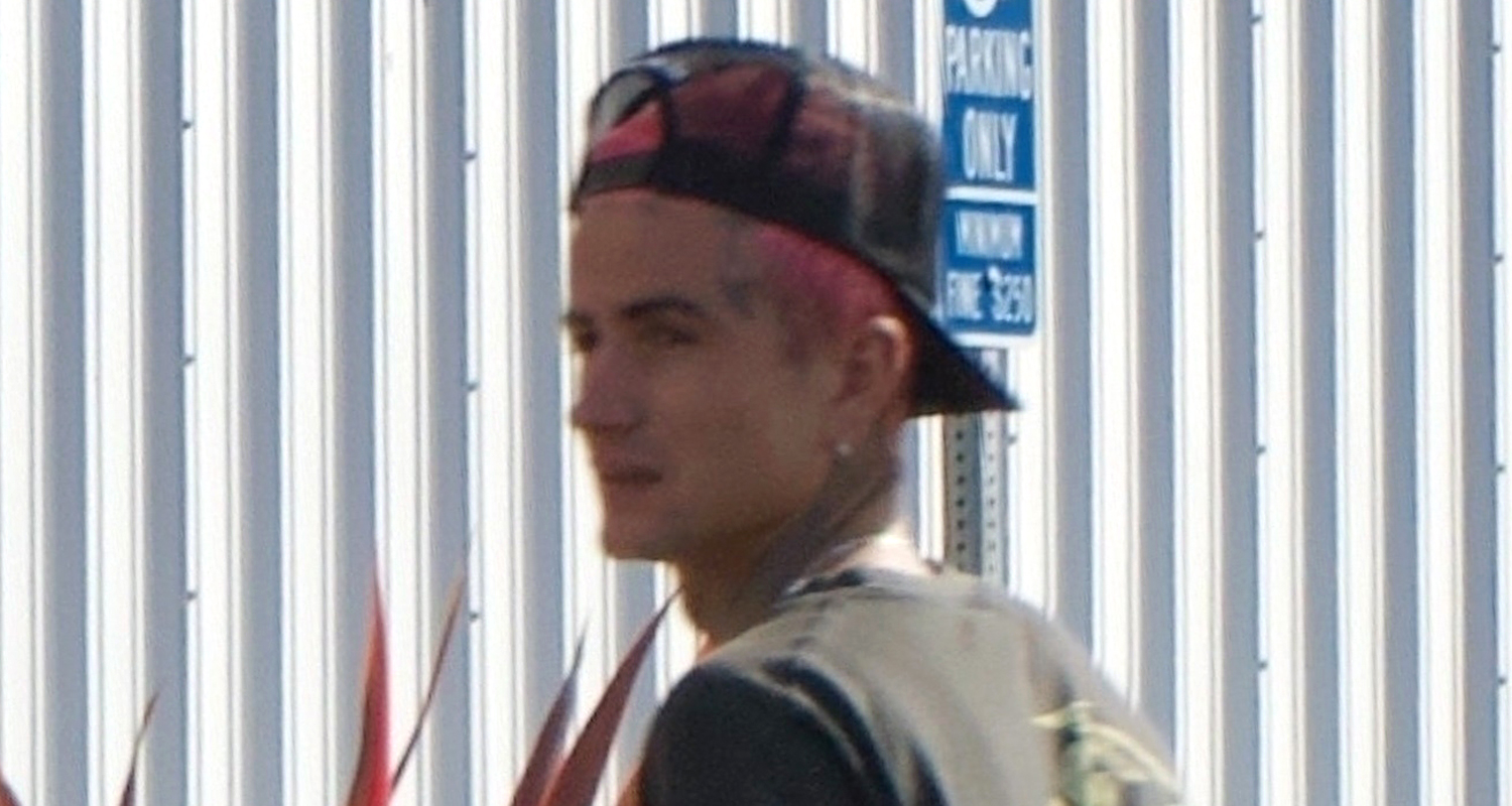 Get To Know Demi Lovato’s New Boyfriend Austin Wilson | Austin Wilson ...