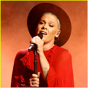 Pink Announces Hiatus From the Music Industry in 2020 | Music, Pink ...