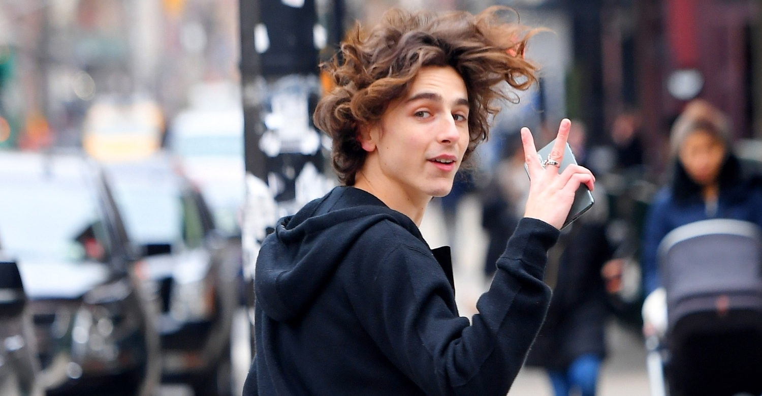 Timothee Chalamet Enjoys Day Out in NYC! | Timothee Chalamet | Just ...