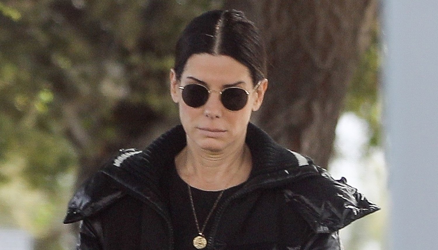 Sandra Bullock Bundles Up While Taking Her Dog for a Walk | Sandra ...