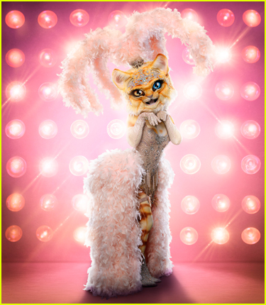 ‘Masked Singer’ 2020: Top 9 Revealed; Guesses & Clues for Every ...