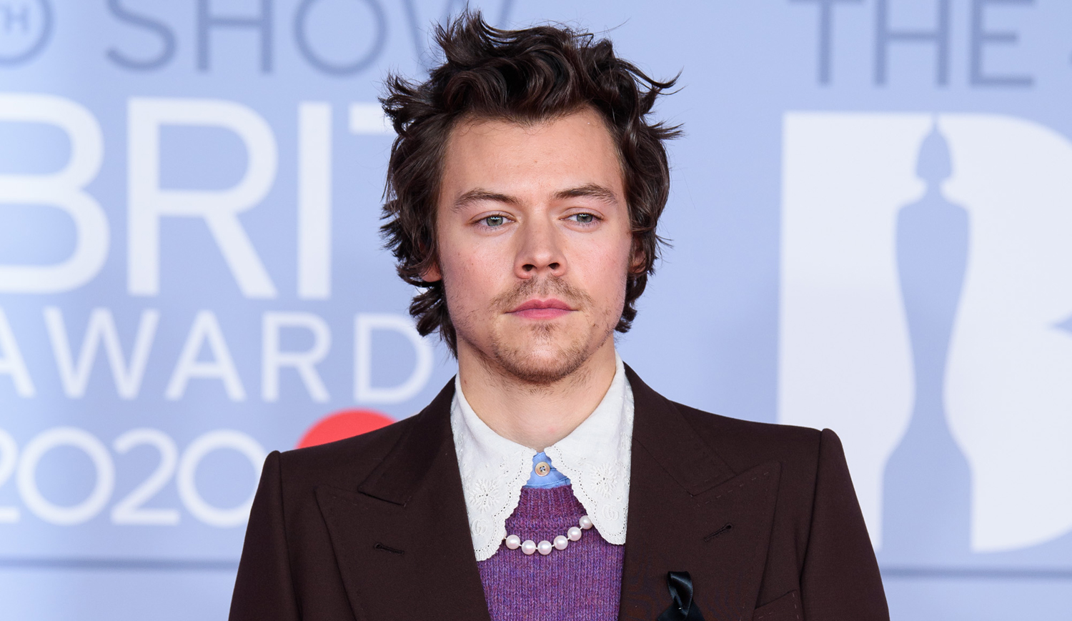 Harry Styles is Learning Italian & Sign Language (& Doing Face Masks ...