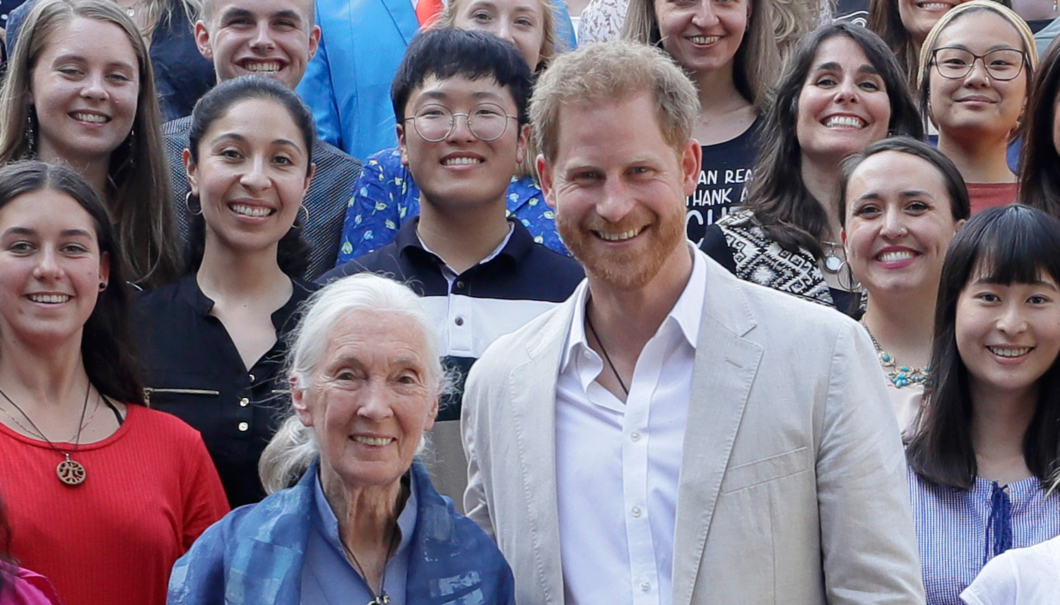 Jane Goodall Says Prince Harry Hinted at Royal Exit 8 Months Beforehand ...