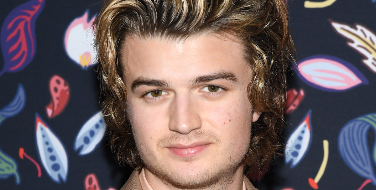 Stranger Things’ Joe Keery Apologizes for ‘Horrible Comments’ Posted During His Twitter Hack ...