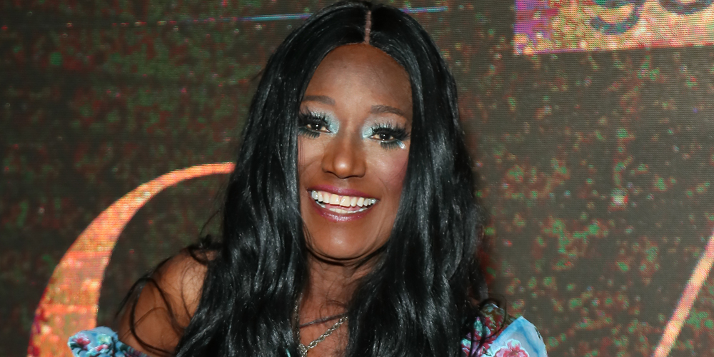 The Pointer Sisters’ Bonnie Pointer Dies at 69 | Bonnie Pointer, RIP ...