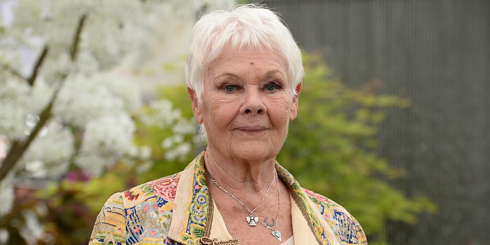 Judi Dench Takes On Laxed Siren Beat Dance on TikTok With Grandson Sam ...