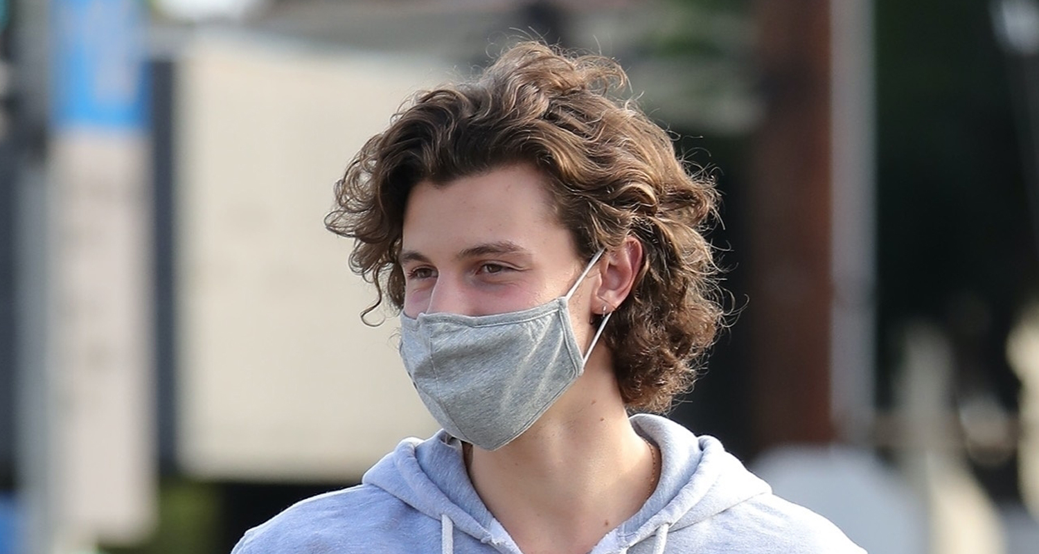 Shawn Mendes Shares New Photo With His ‘Queen’ Camila Cabello | Camila ...