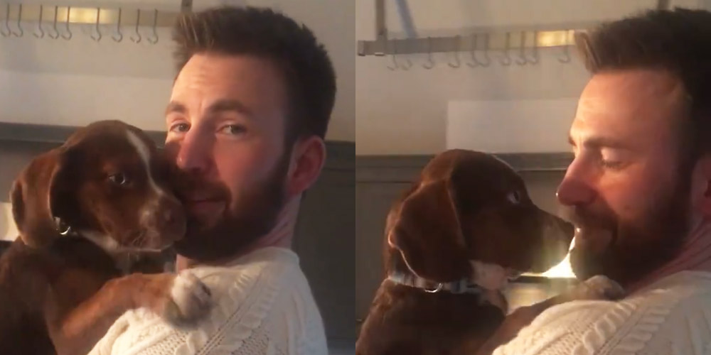 Chris Evans Cuddles a Puppy in His Iconic ‘Knives Out’ Sweater & Fans ...