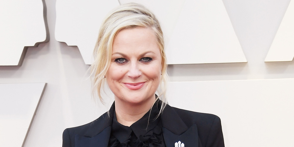 Amy Poehler Wants To Join The Marvel Cinematic Universe As This ...