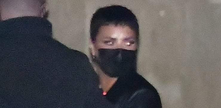 Demi Lovato Shows Off Newly Dyed Black Hair While Out to Dinner | Demi ...