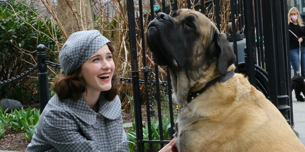Rachel Brosnahan Is Full of Puppy Love On ‘Marvelous Mrs. Maisel’ Set ...
