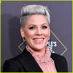 Pink Says Her First Girlfriend Left Her for… Her Brother | Pink | Just ...