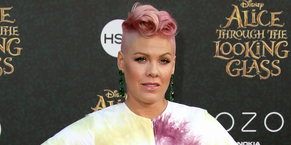 Pink Rewrote Her Will While Battling COVID-19 | Pink | Just Jared ...