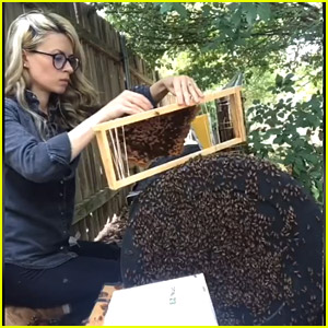 Erika Thompson Responds to Accusations She’s A Fake Beekeeper & TikTok ...