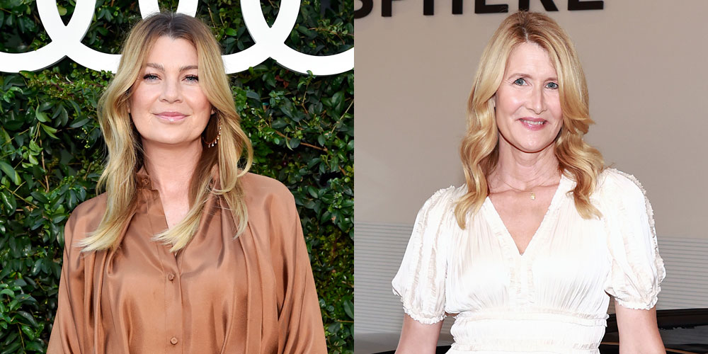 Ellen Pompeo, Laura Dern, & More Step Out for the Audi Design Loft ...