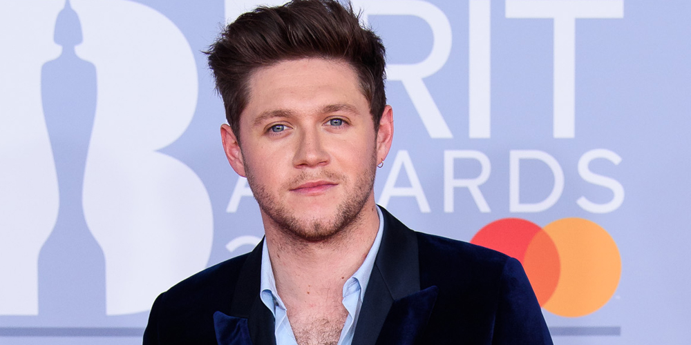 Niall Horan Is Celebrating The Anniversary of His ‘Flicker’ Album ...