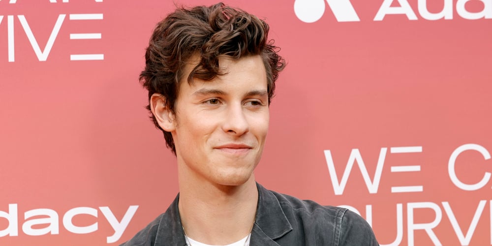 Shawn Mendes Reveals Why He’s On A Break From TikTok | Shawn Mendes ...