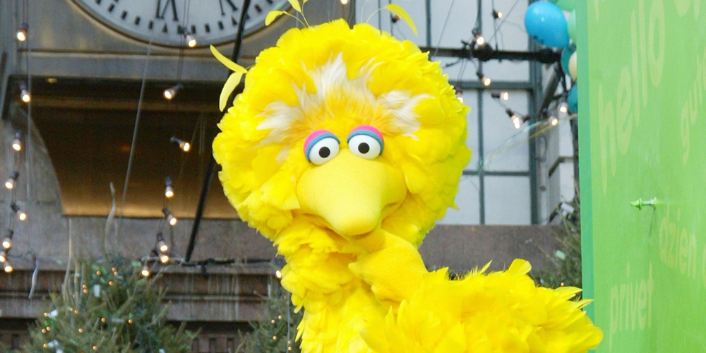 Big Bird Confirms He Got the Coronavirus Vaccine | Big Bird ...