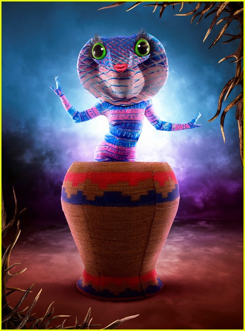 ‘The Masked Singer’ Season 7 – 15 Contestants Revealed! | Fox ...