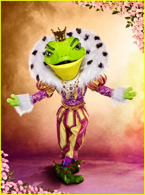 ‘The Masked Singer’ Season 7 – 15 Contestants Revealed! | Fox ...