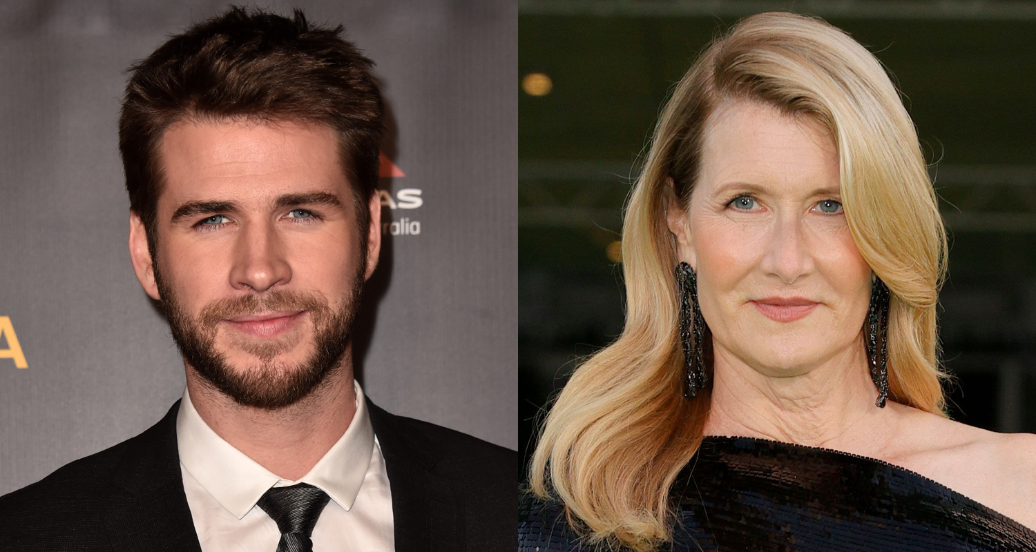 Liam Hemsworth & Laura Dern to Star in Netflix Romance Movie ‘Lonely Planet’ | Laura Dern, Liam ...
