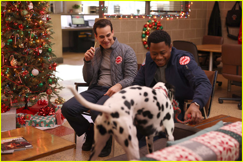 ‘Chicago Fire’ Dalmatian Sadly Dies Ahead of Season 10 Finale | Chicago ...