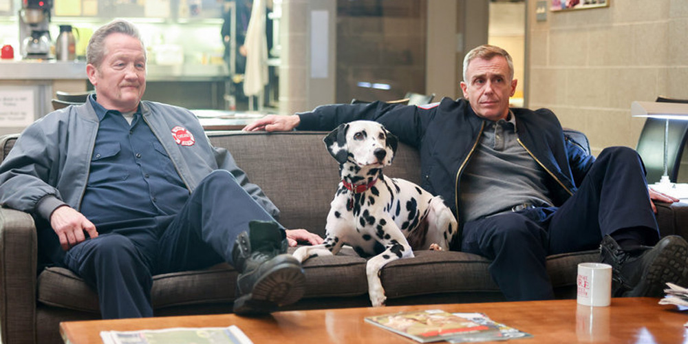 ‘Chicago Fire’ Dalmatian Sadly Dies Ahead of Season 10 Finale | Chicago ...