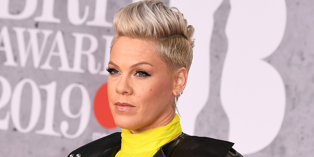 Pink Has A Biting Message For Fans Who Support Supreme Court Abortion ...