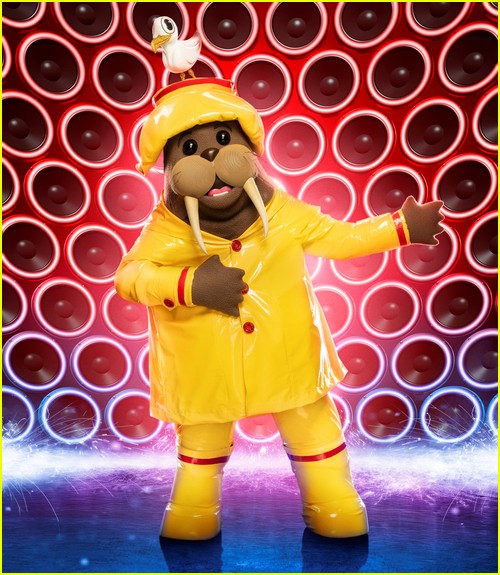 ‘The Masked Singer’ 2022 – 22 Contestants & New Show Format Revealed ...