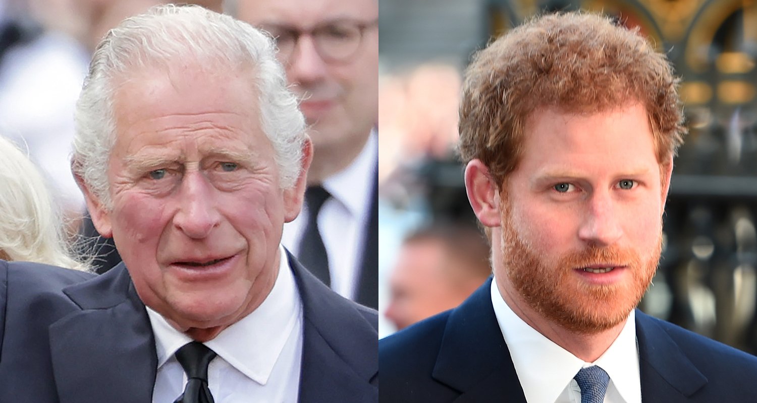 King Charles Announces He’s Replacing Prince Harry as Captain General ...
