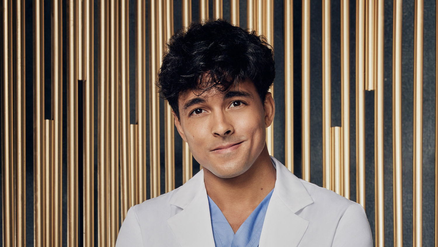 Niko Terho’s Lucas on ‘Grey’s Anatomy’ is Related to [SPOILER ...