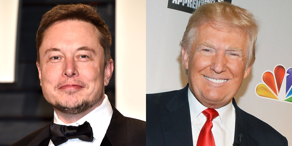Elon Musk Issues Decision On Reinstating Donald Trump’s Twitter Account ...