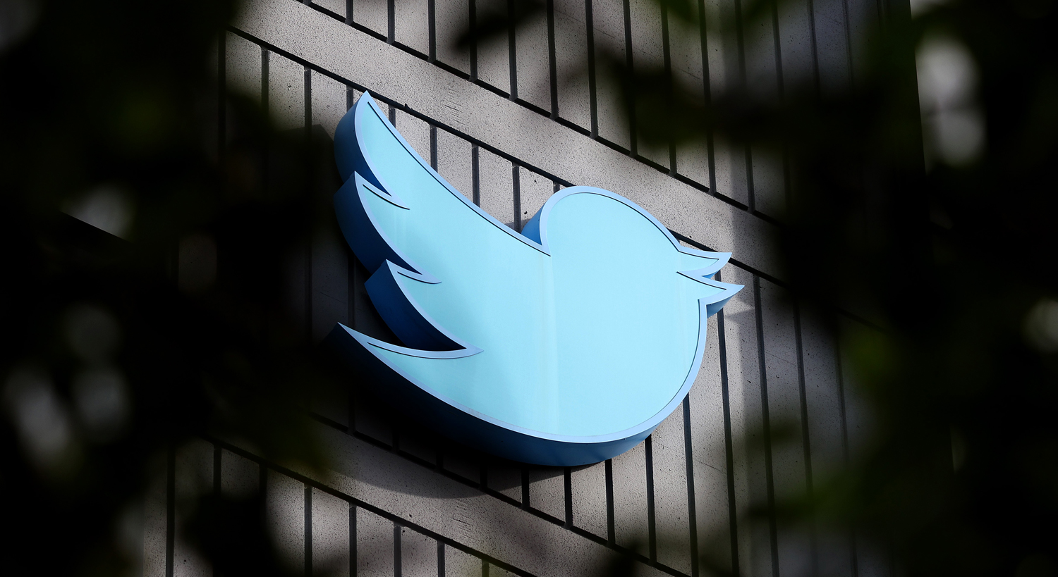 Twitter Users Are Saying Goodbye After Company Closes Offices ...