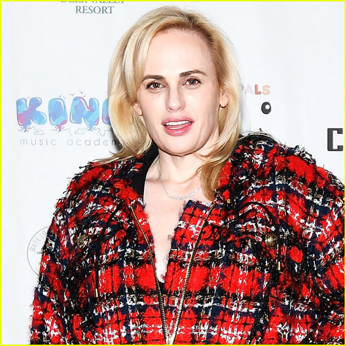 Rebel Wilson Talks Fertility Journey, Her Surrogacy Experience ...