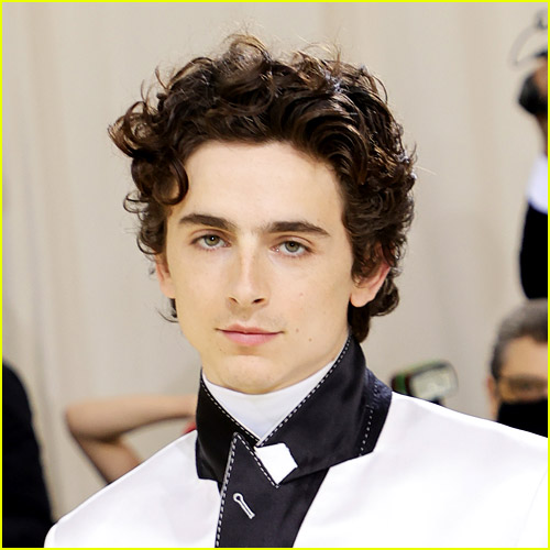 These 4 Actors Were Up for ‘Gladiator 2′ Role, Which Paul Mascal Has ...