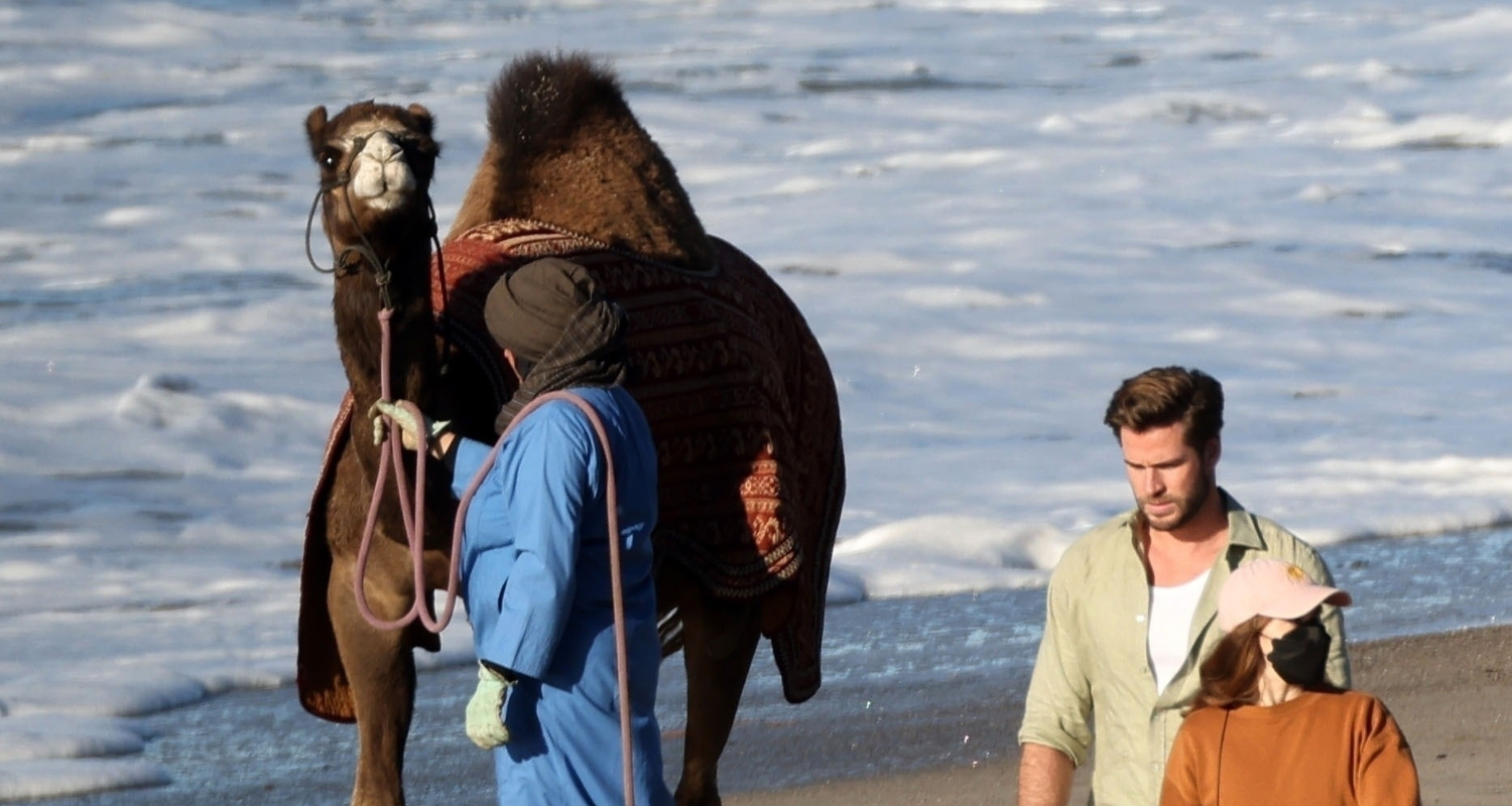 Liam Hemsworth Films New Netflix Movie ‘Lonely Planet’ with a Camel at ...