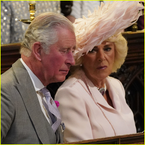 Prince Harry Explains Why He Found Camilla, Queen Consort ‘Dangerous ...
